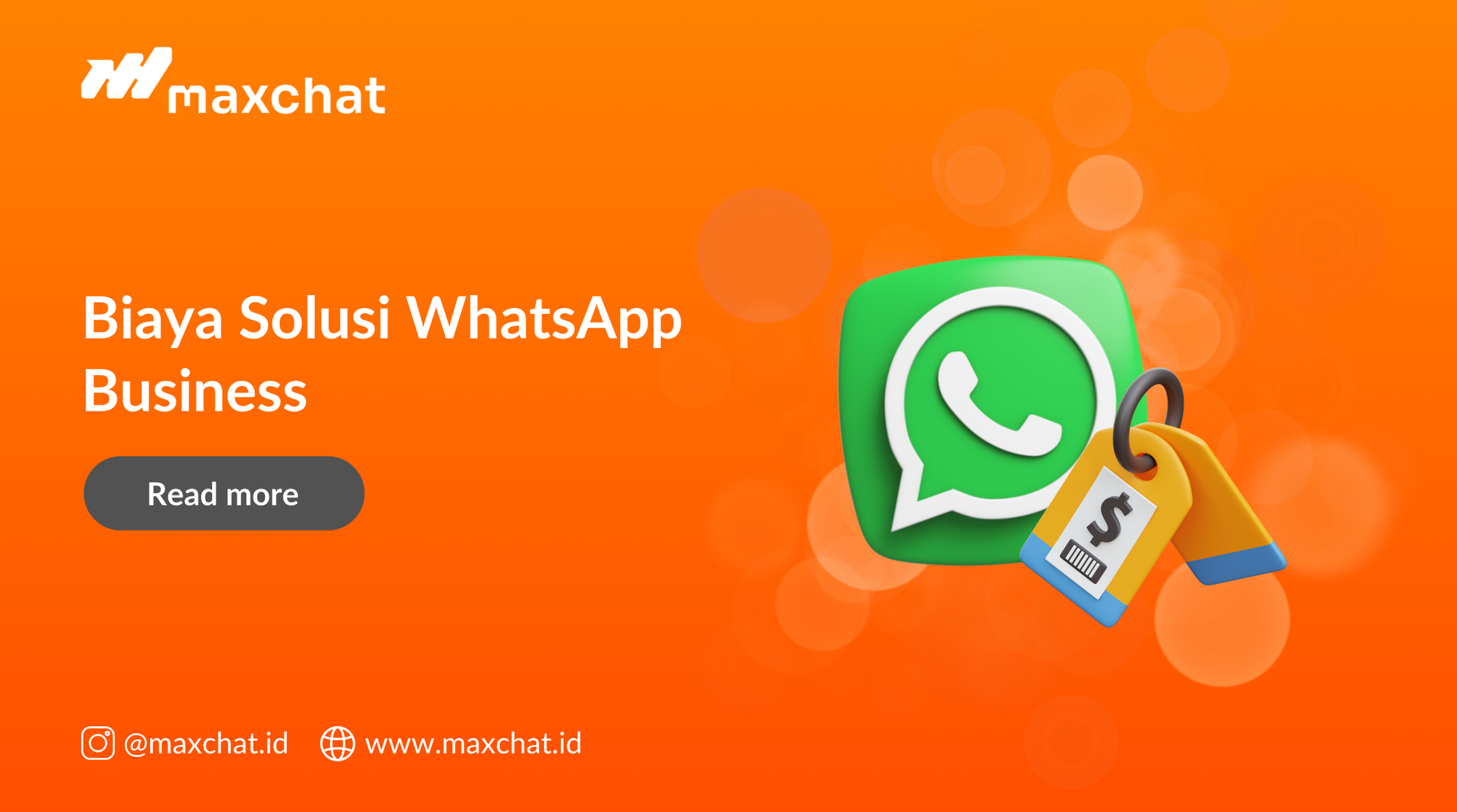 Biaya Solusi WhatsApp Business